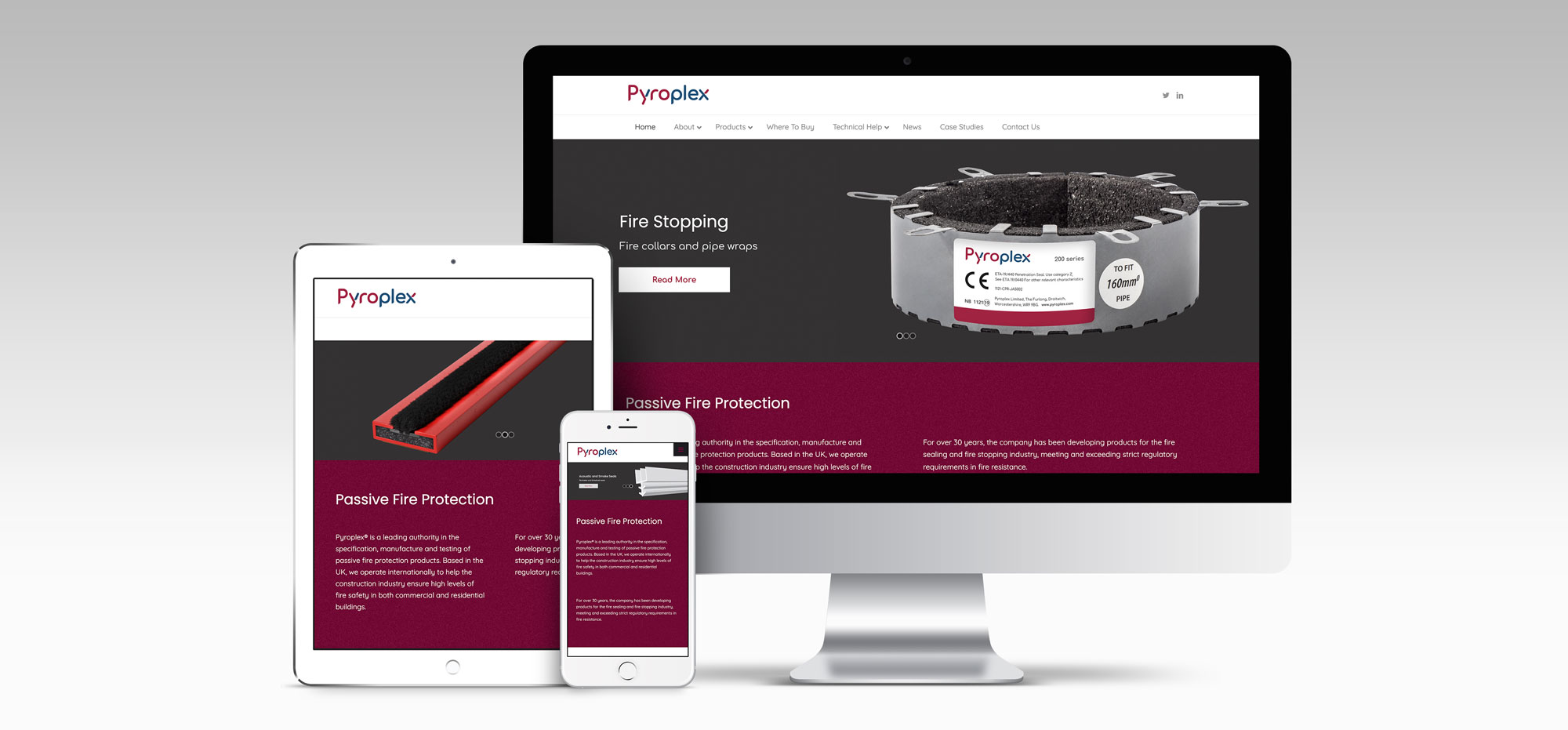 Pyroplex Rebrand - Ange Robinson